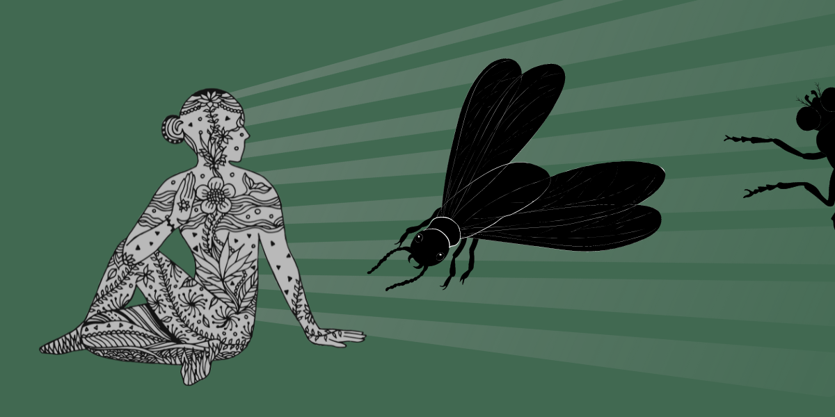 Splinters, Cartilage and Bugs: Accepting My Anxieties | Hadassah Magazine