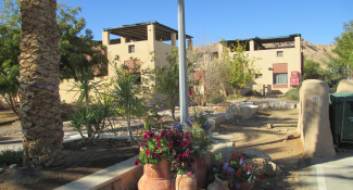 Kibbutz Ketura’s First 50 Years | Hadassah Magazine