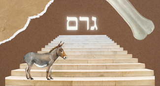 About Hebrew | Hadassah Magazine