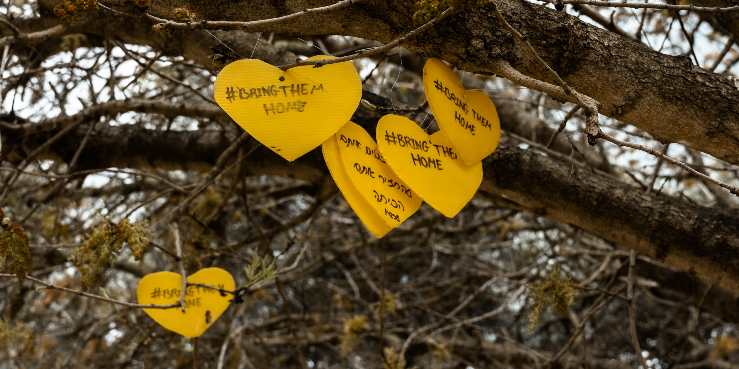 This Hebrew Root Reveals Jewish Wisdom on Resuing Hostages | Hadassah ...